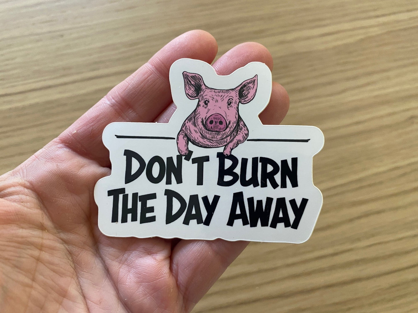 Pig - Don't Burn The Day Away – Wicked Leap